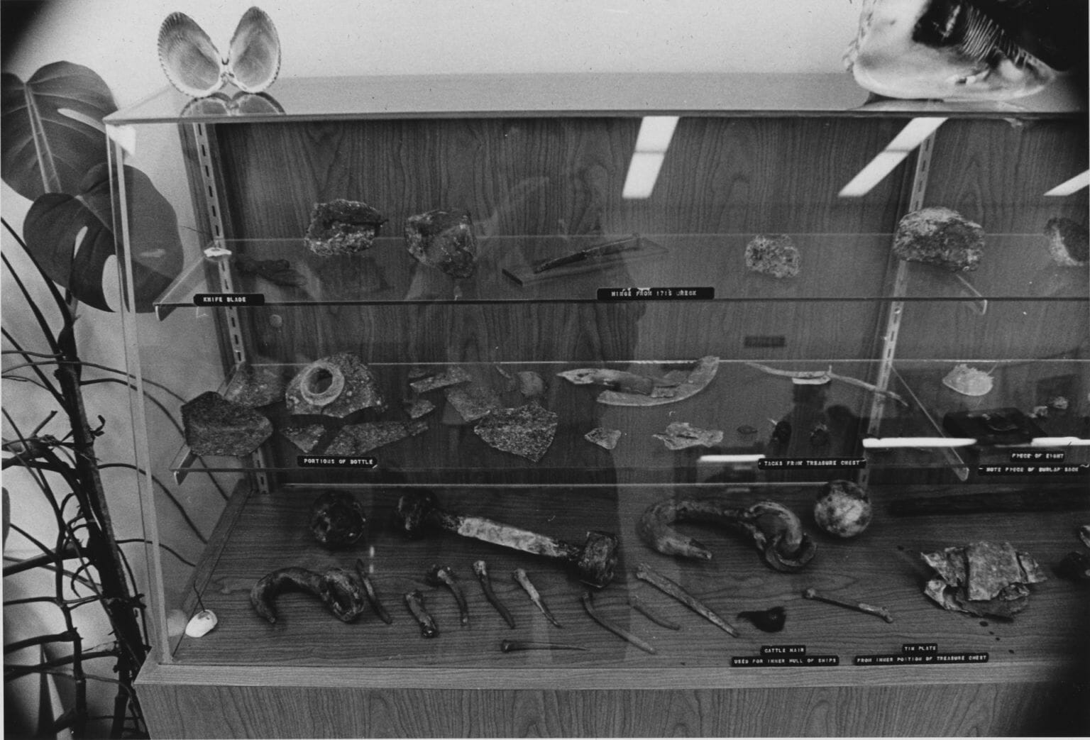 History of the Real Eight Company Through Documents and Letters - 1715 ...