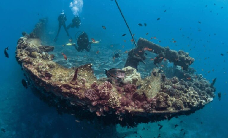 Shipwreck-Holding-22-Tons-of-Gold - 1715 Fleet Society