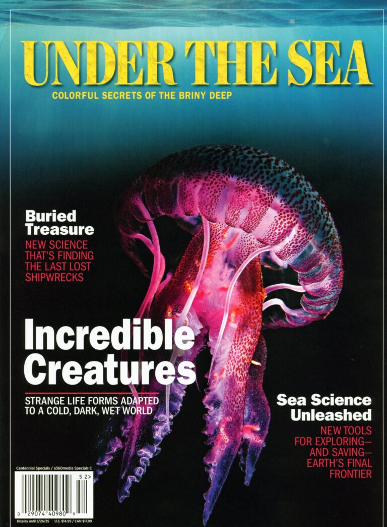 On Newstands Now: Under The Sea Magazine - 1715 Fleet Society