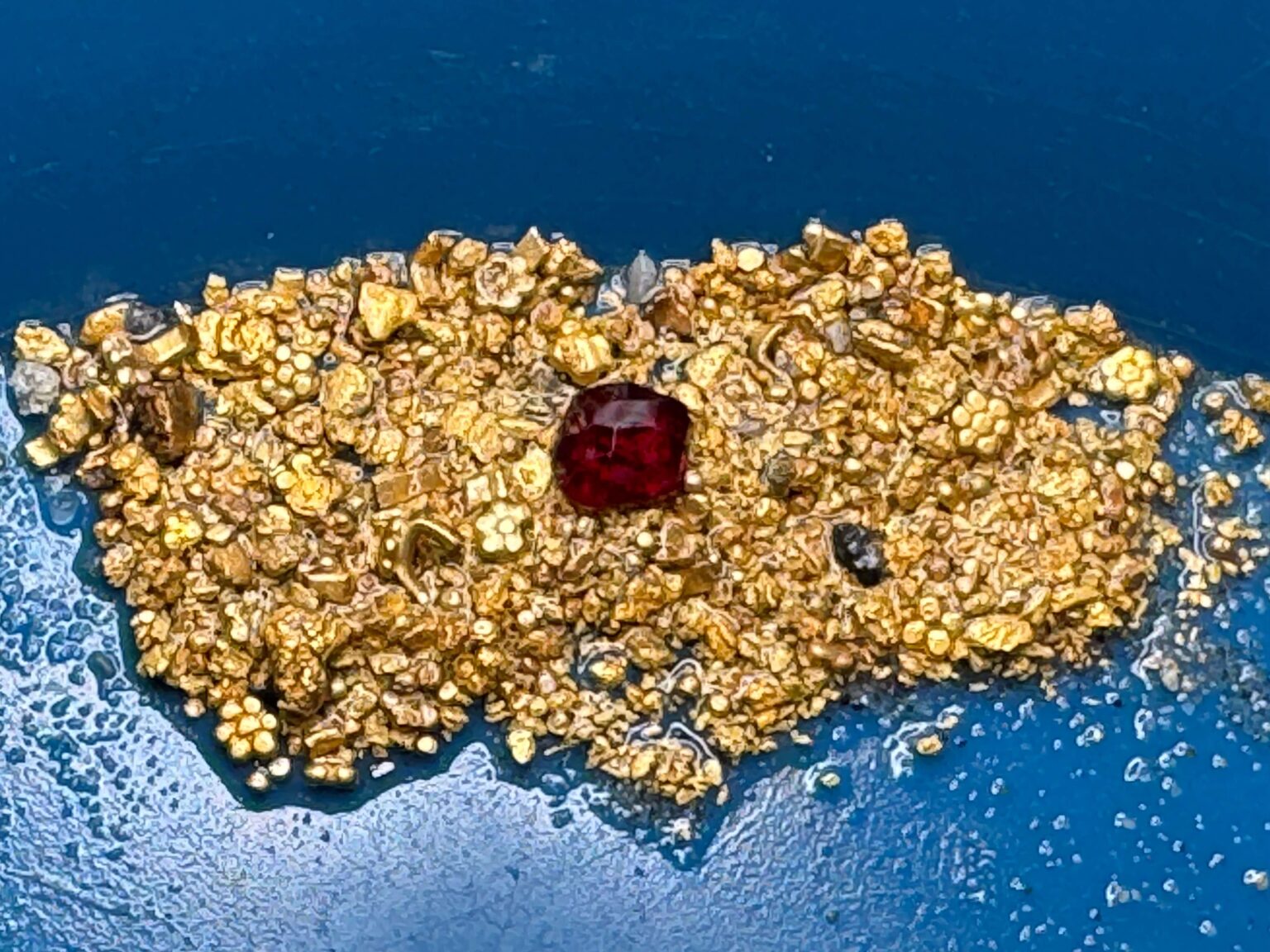 October 2025 — Treasure of the Month - 1715 Fleet Society